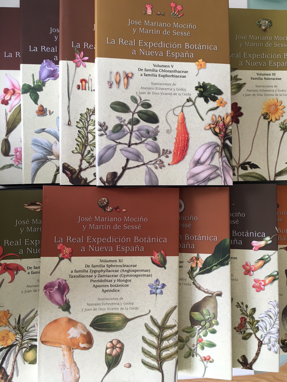 La Real Expedición Botánica a Nueva España 9786073026550 libro